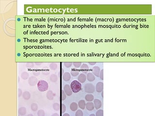 HUMAN HEALTH AND DISEASE.pptx presentation.pdf