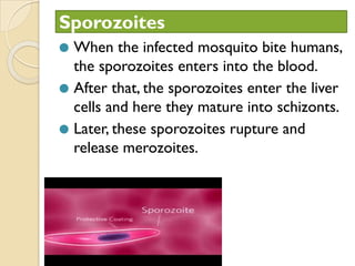 HUMAN HEALTH AND DISEASE.pptx presentation.pdf