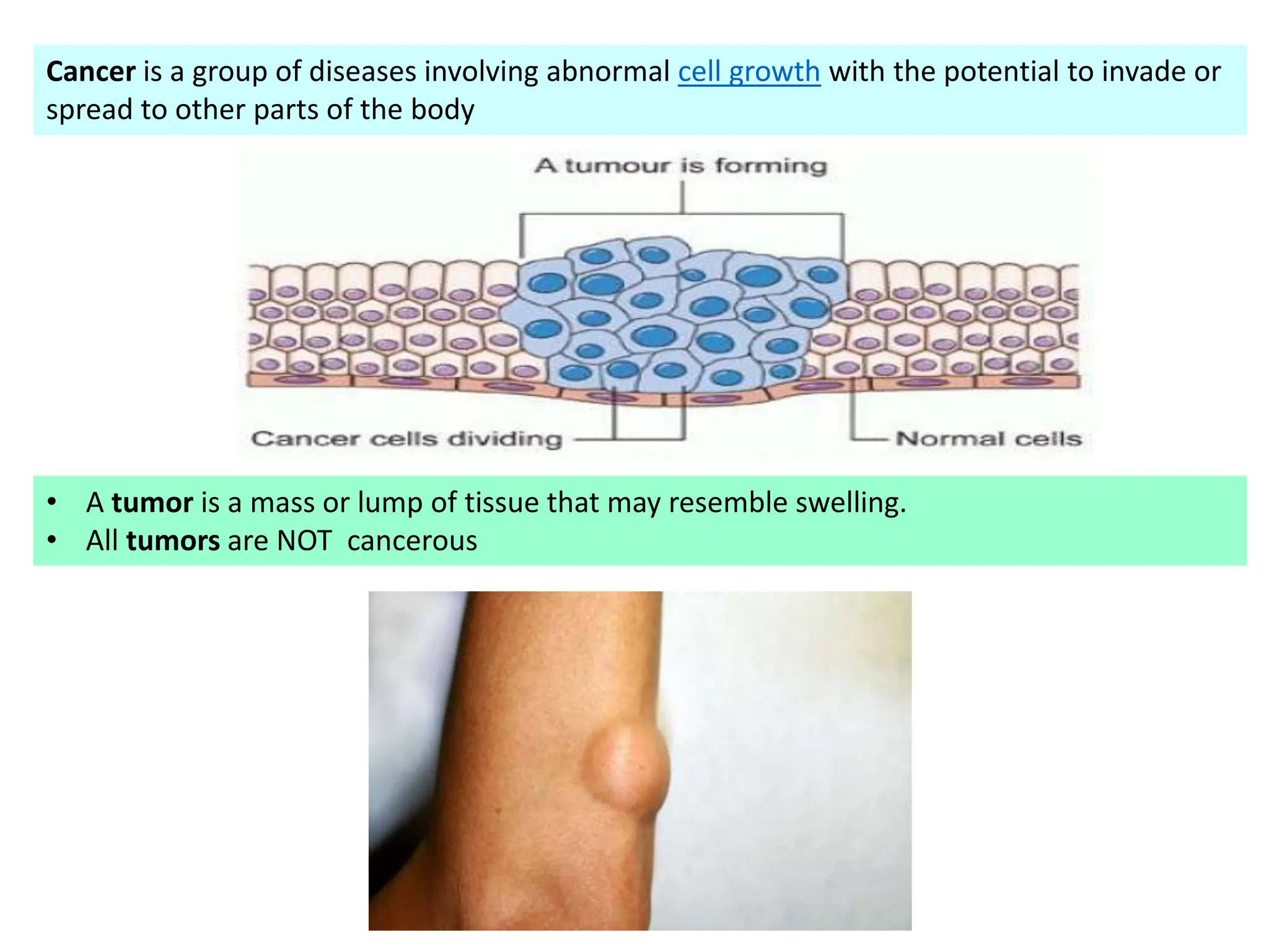 HUMAN HEALTH AND DISEASE Class XII Biology .pptx