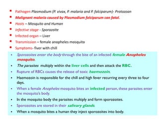 HUMAN HEALTH AND DISEASE Class XII Biology .pptx