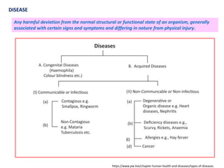HUMAN HEALTH AND DISEASE Class XII Biology .pptx