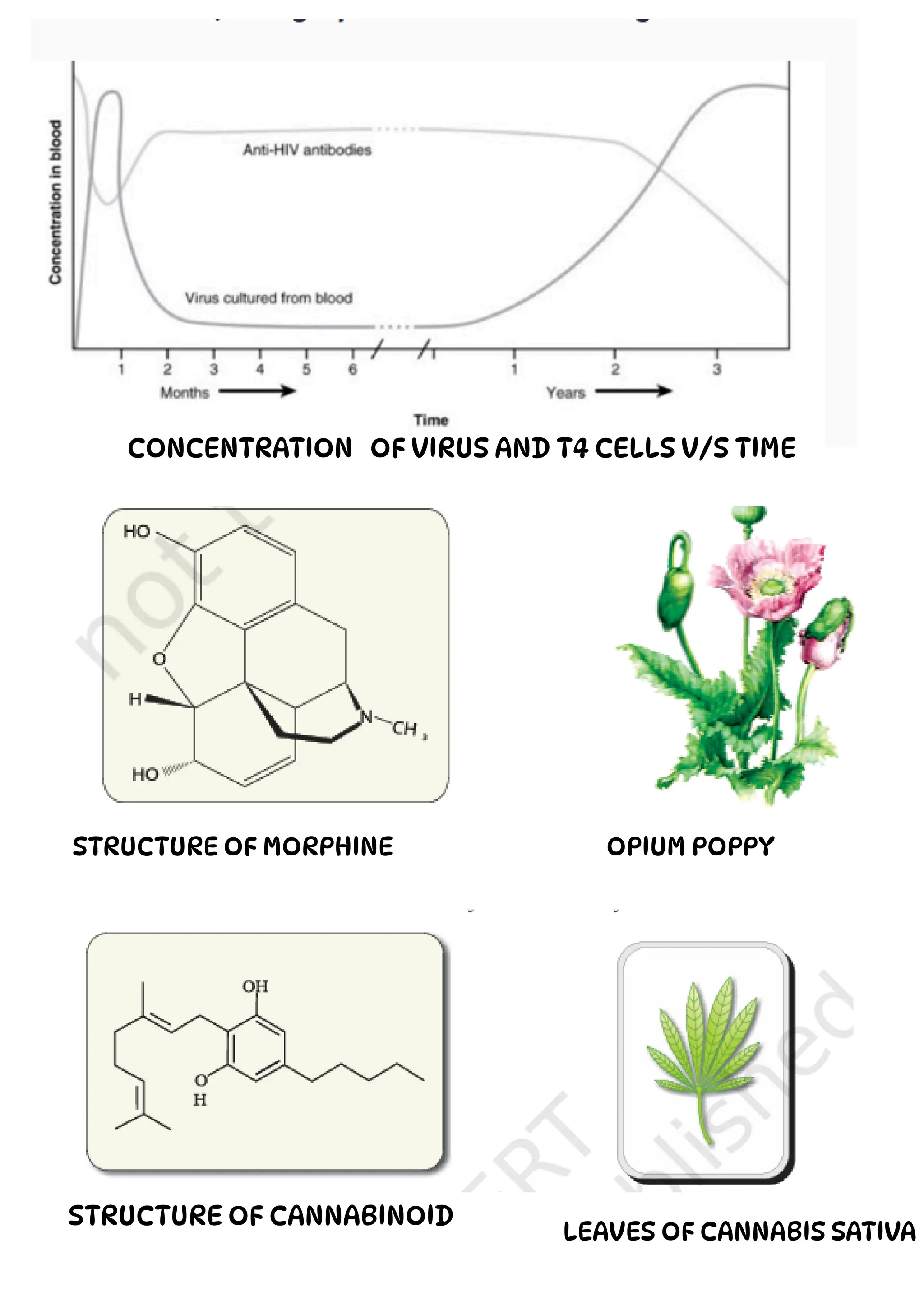 CLASS 12th HUMAN HEALTH AND DISEASE.pdf