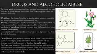 HUMAN HEALTH AND DISEASES (Acquired Immune Deficiency Syndrome (AIDS ...