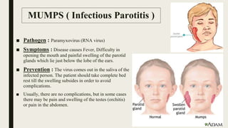 Human Health & Disease | PPTX