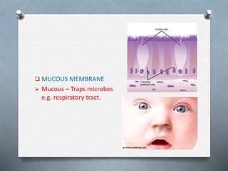 Human Health & Diseases | PPT