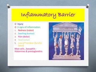 Human Health & Diseases | PPT