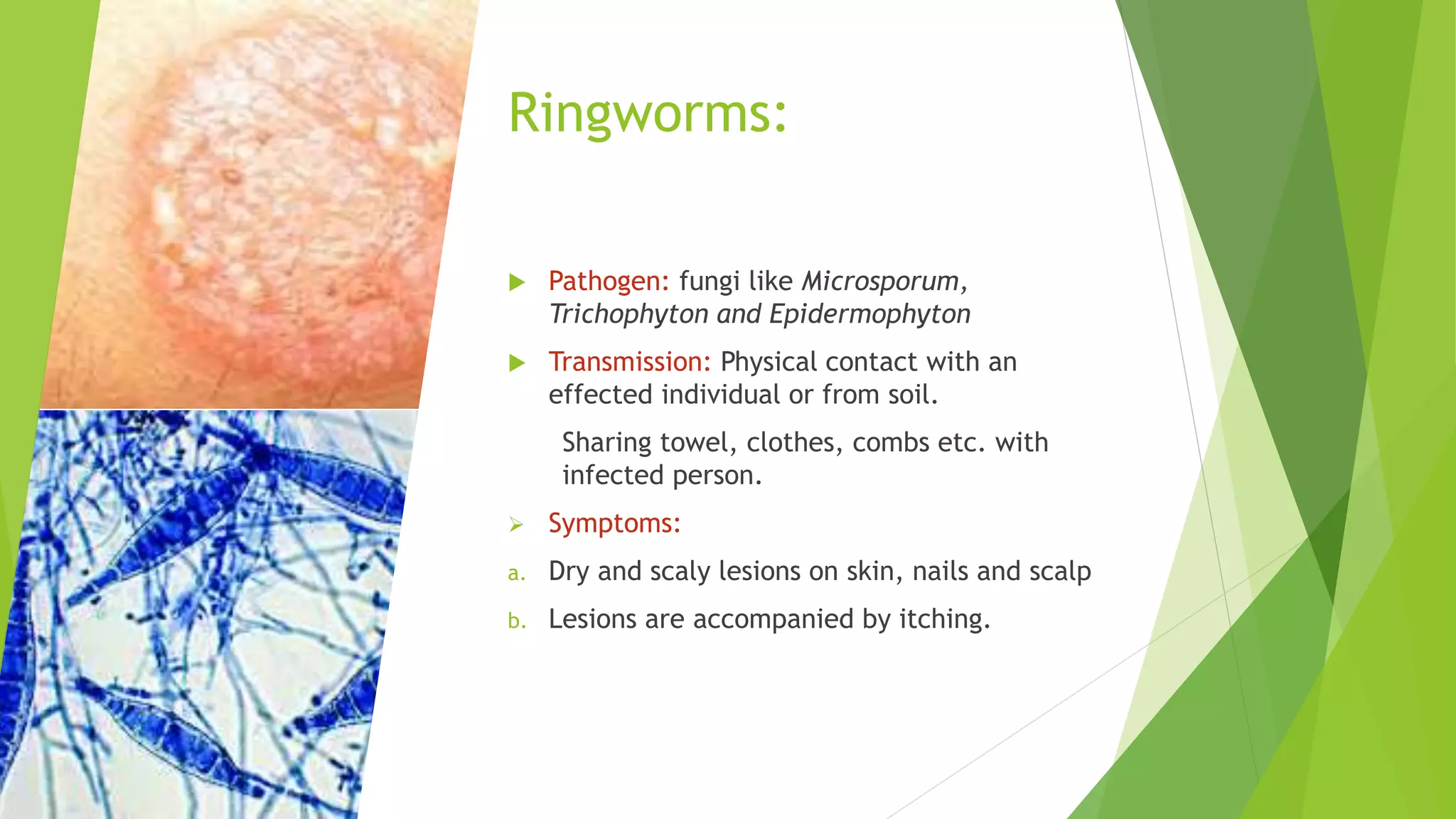 Human health & diseases | PPTX | Infectious Diseases | Diseases and ...