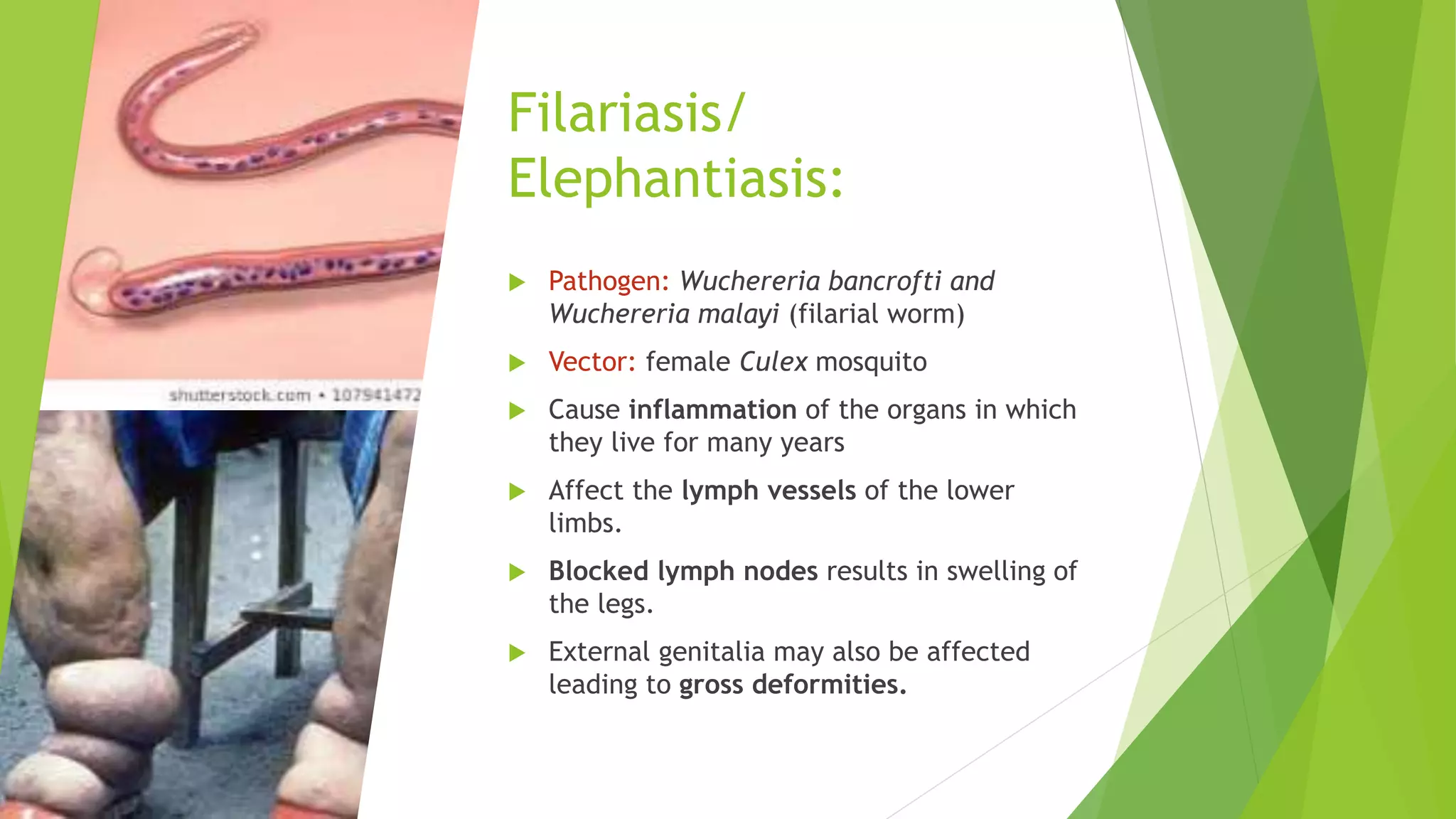 Human health & diseases | PPTX | Infectious Diseases | Diseases and ...