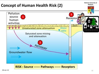 Human health risk assessment | PDF