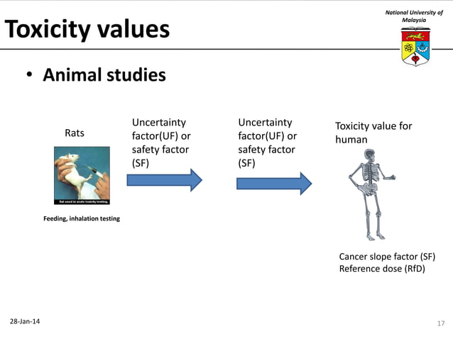 Human health risk assessment | PDF | Environment | Science