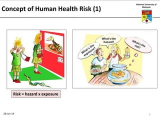 Human health risk assessment | PDF