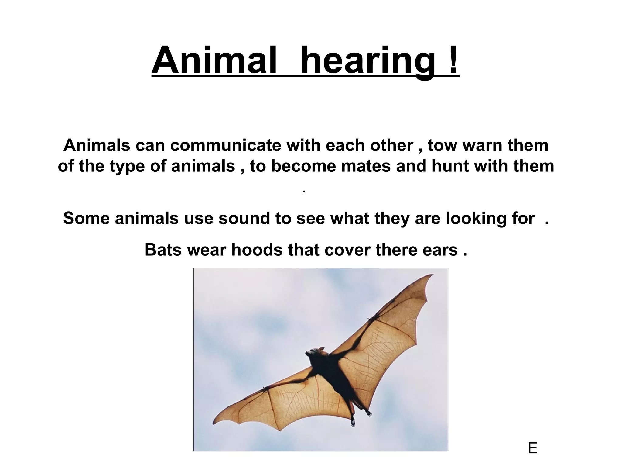 Human Hearing | PPT