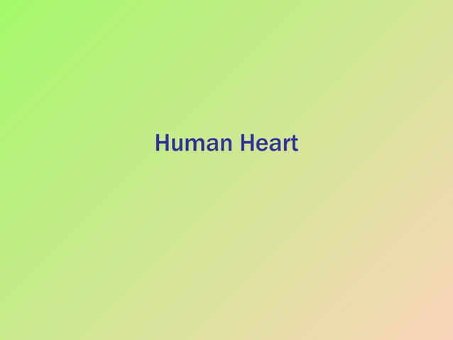 Human heart | PPT