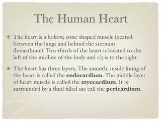 Human heart | KEY