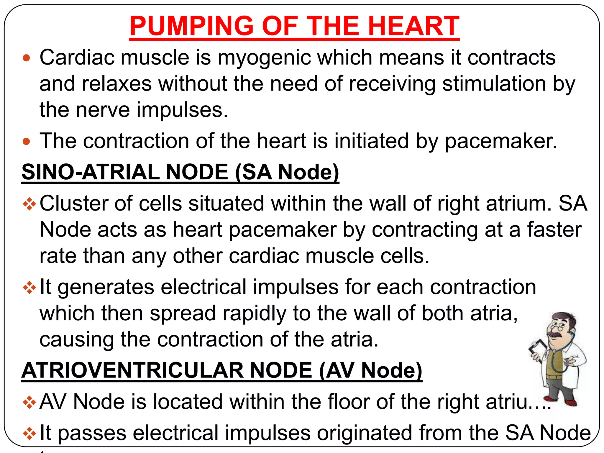 Human heart (Powerpoint Version) | PPTX