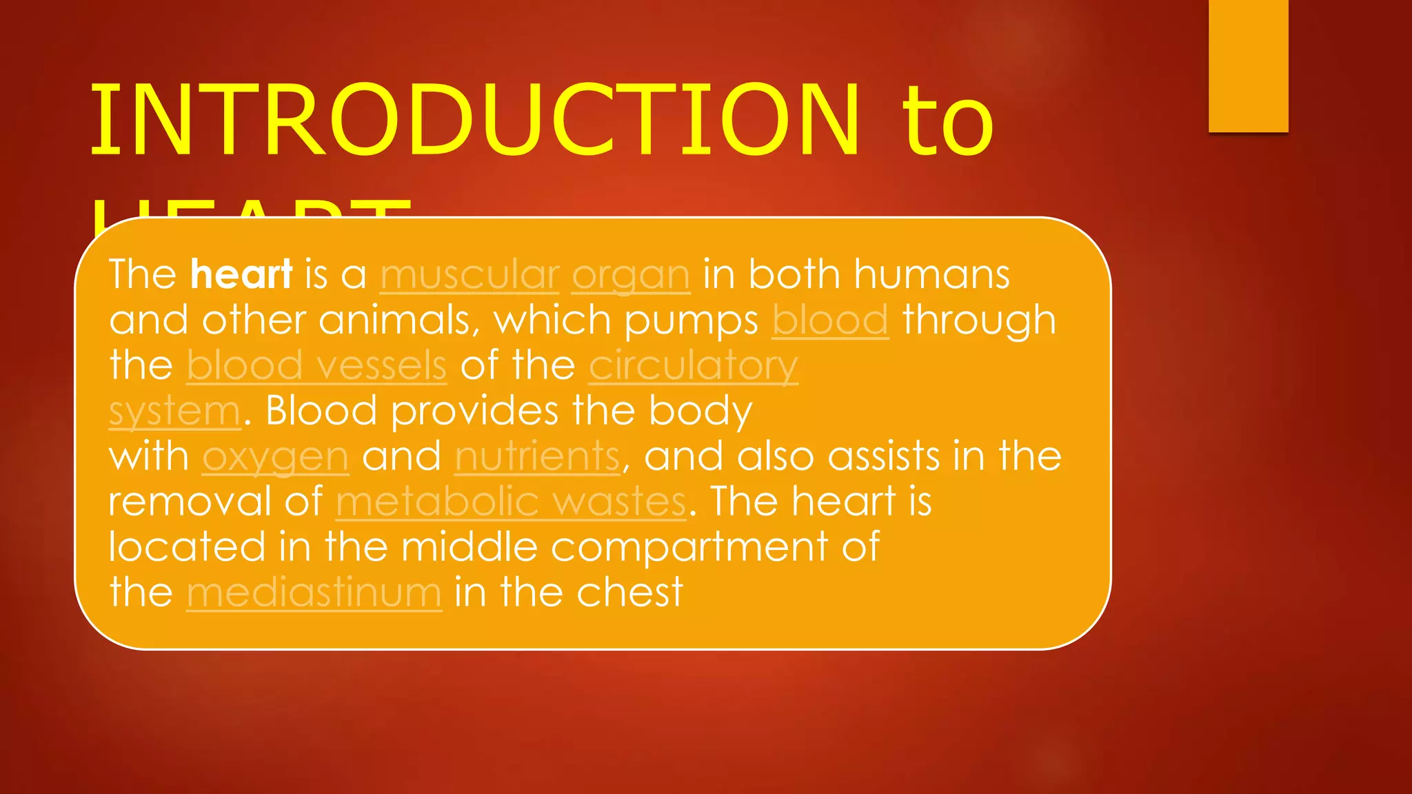 Human heart | PPTX | Heart and Cardiovascular Diseases | Diseases and ...