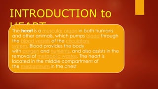 Human heart | PPTX