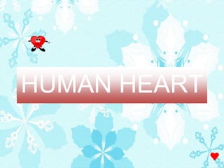 Human heart | PPTX