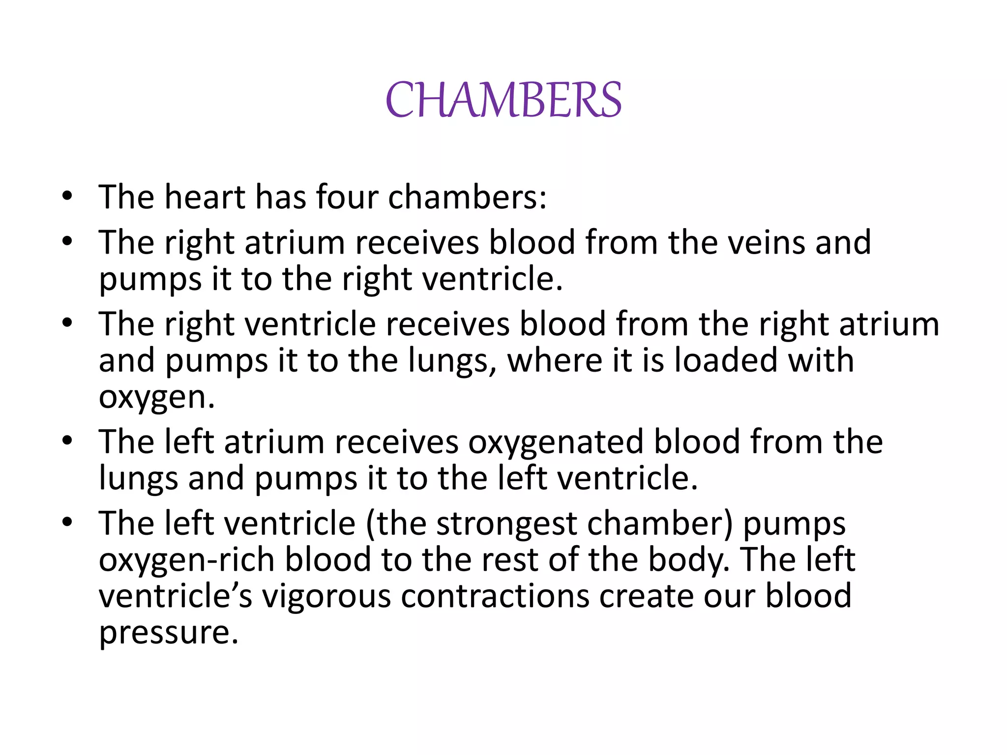 Human heart | PPTX