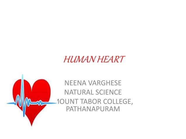 Human heart | PPT