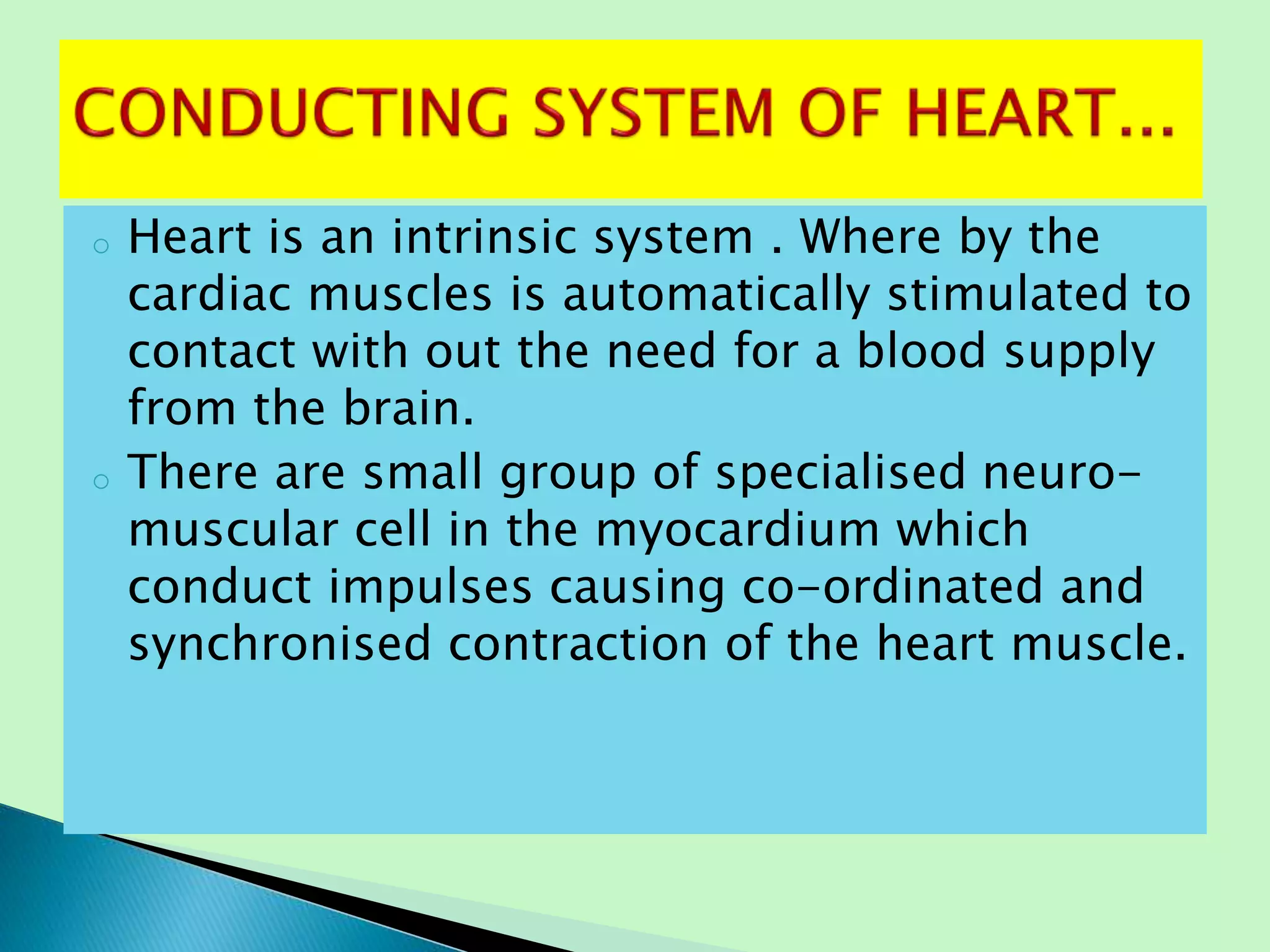 HUMAN HEART | PPT