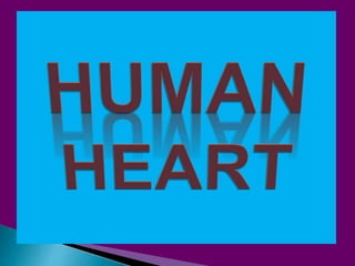 HUMAN HEART | PPT
