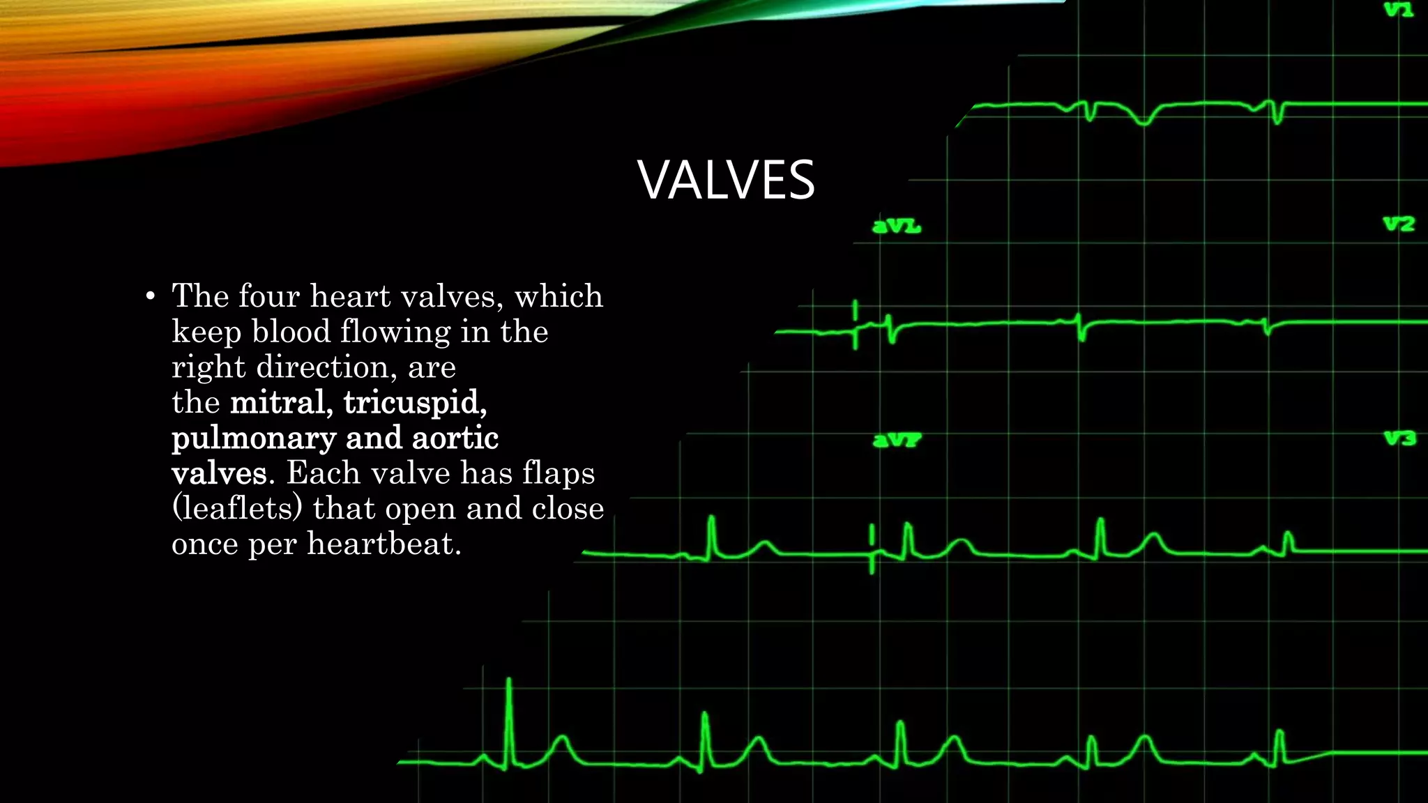 Human heart.pptx