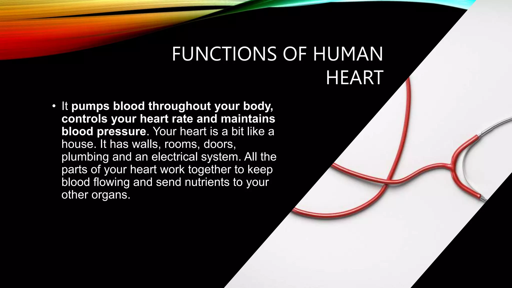 Human heart.pptx