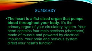 Human heart.pptx
