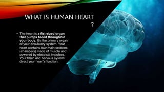 Human heart.pptx