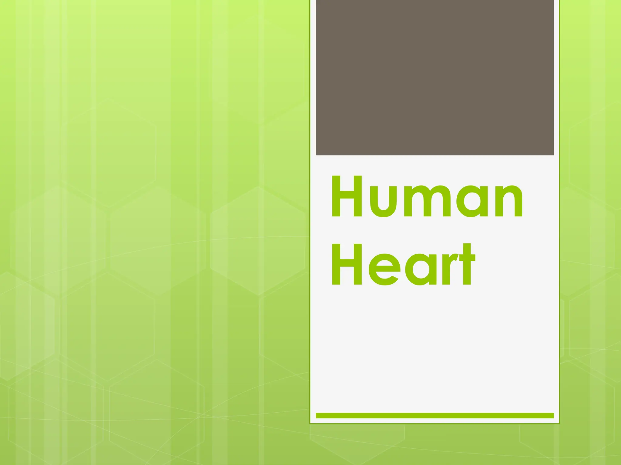 Parts & Functions of theHuman Heart.pptx
