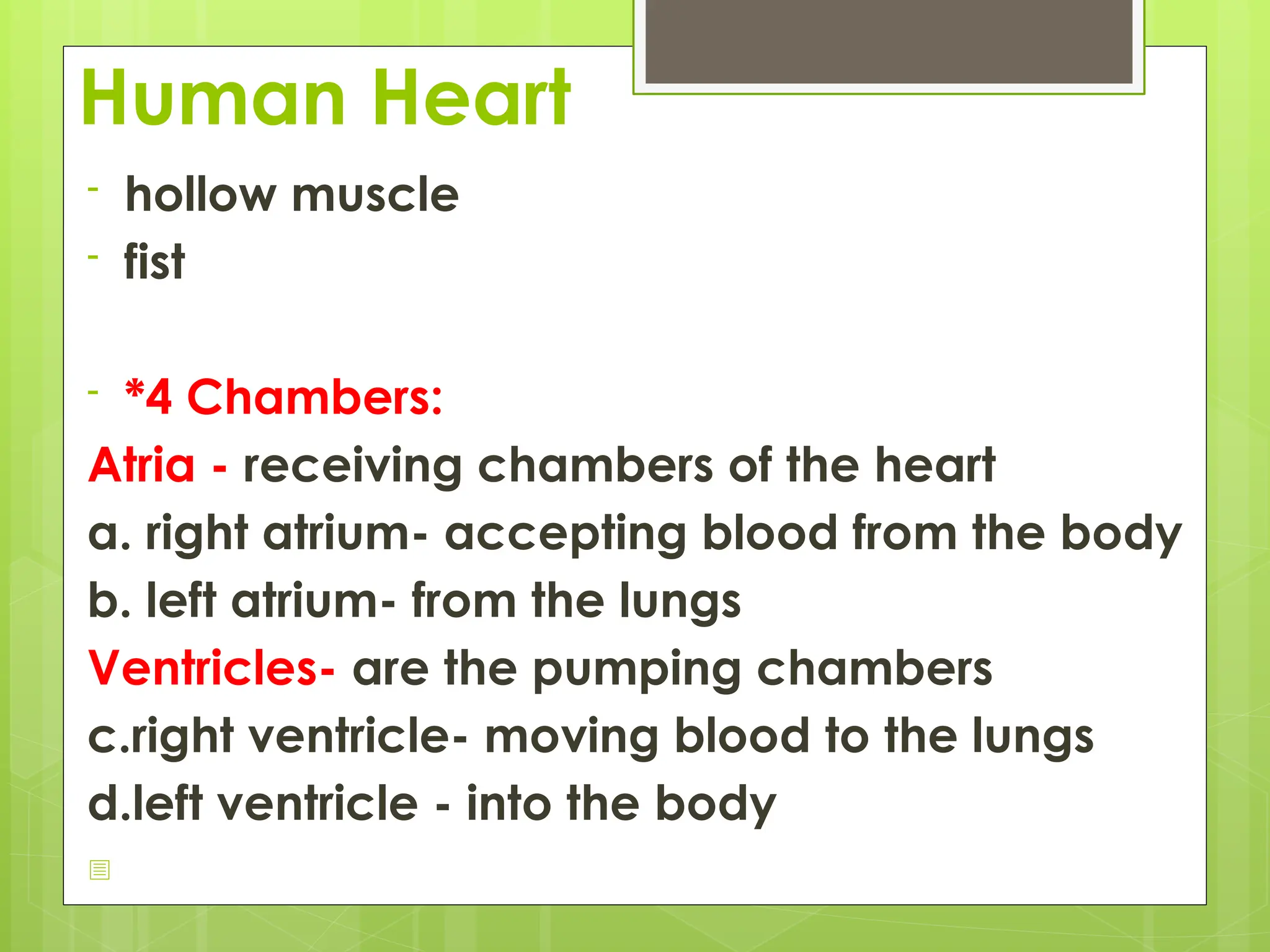 Parts & Functions of theHuman Heart.pptx