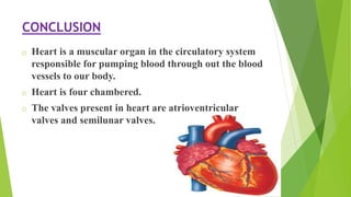Human heart(1) | PPTX