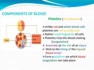 Anatomy And Physiology of Human Heart | PPTX
