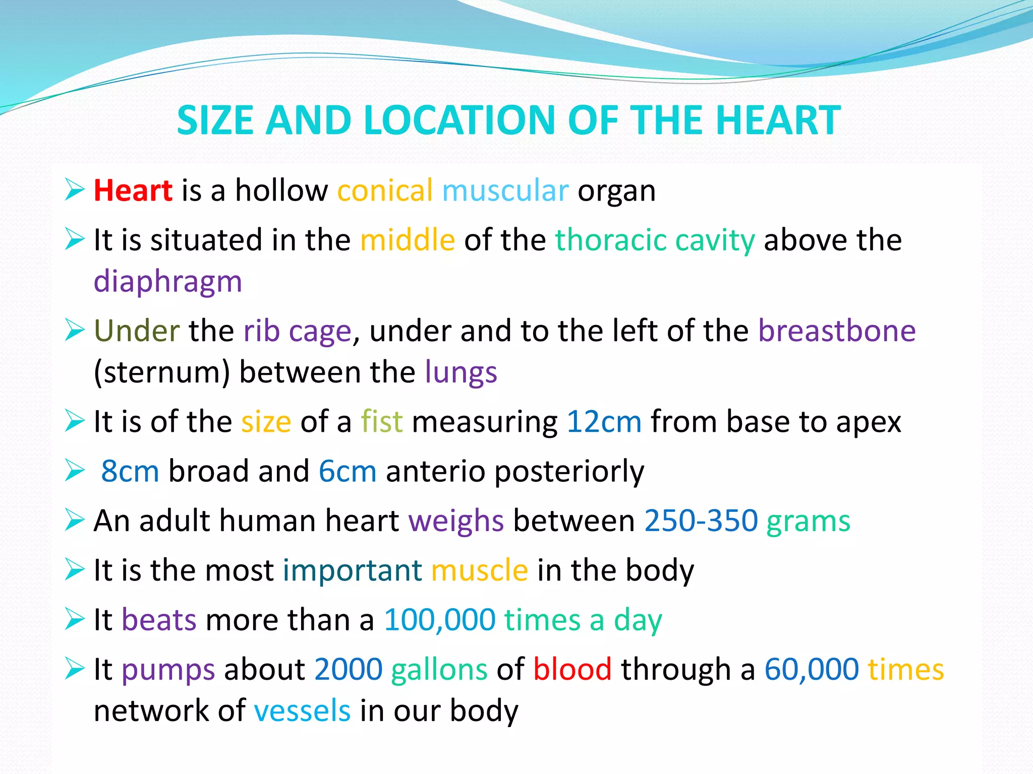 Human heart anatomy and physiology Part -1 | PPTX