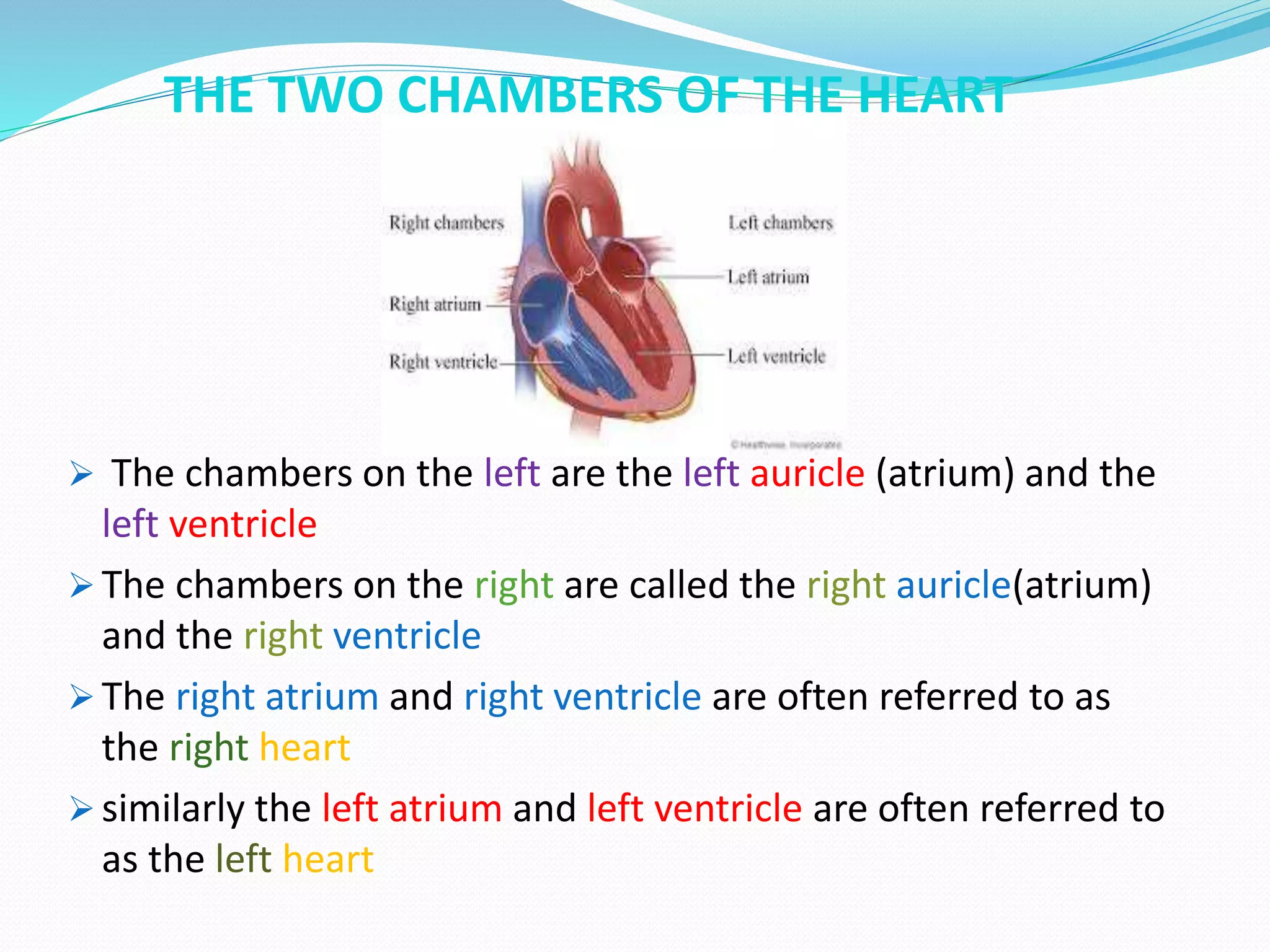 Human heart anatomy and physiology Part -1 | PPT