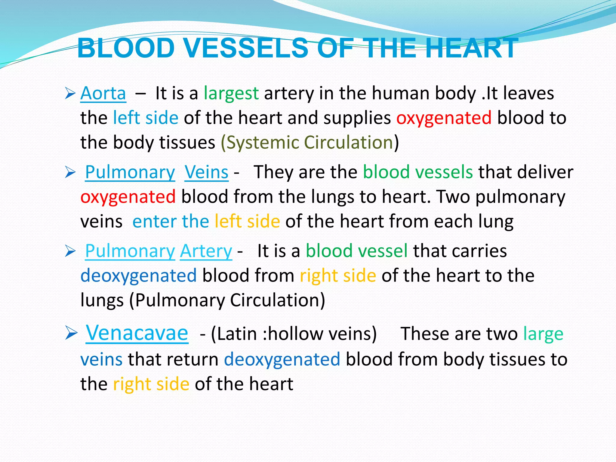 Human heart anatomy and physiology Part -1 | PPTX