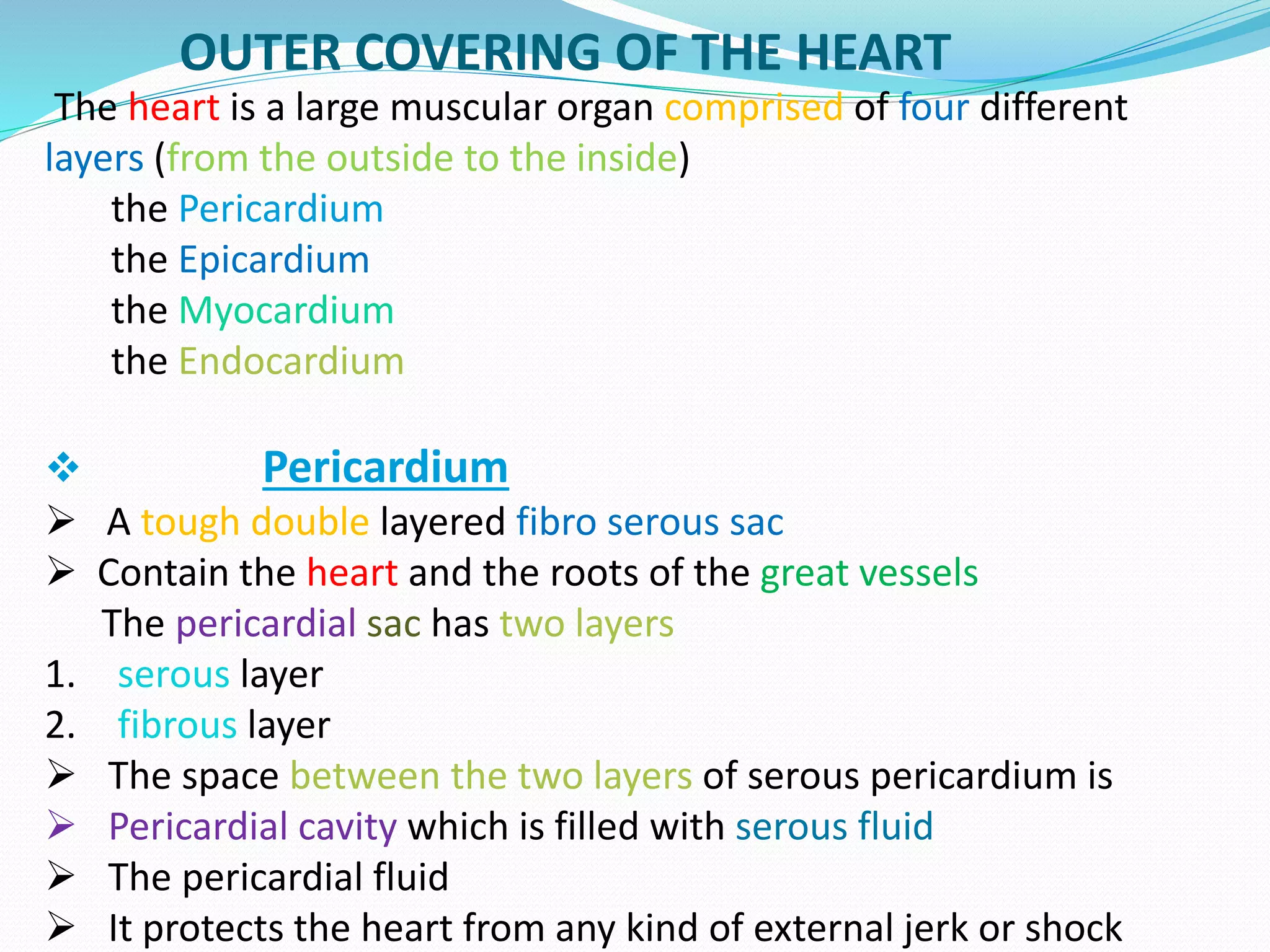 Human heart anatomy and physiology Part -1 | PPTX