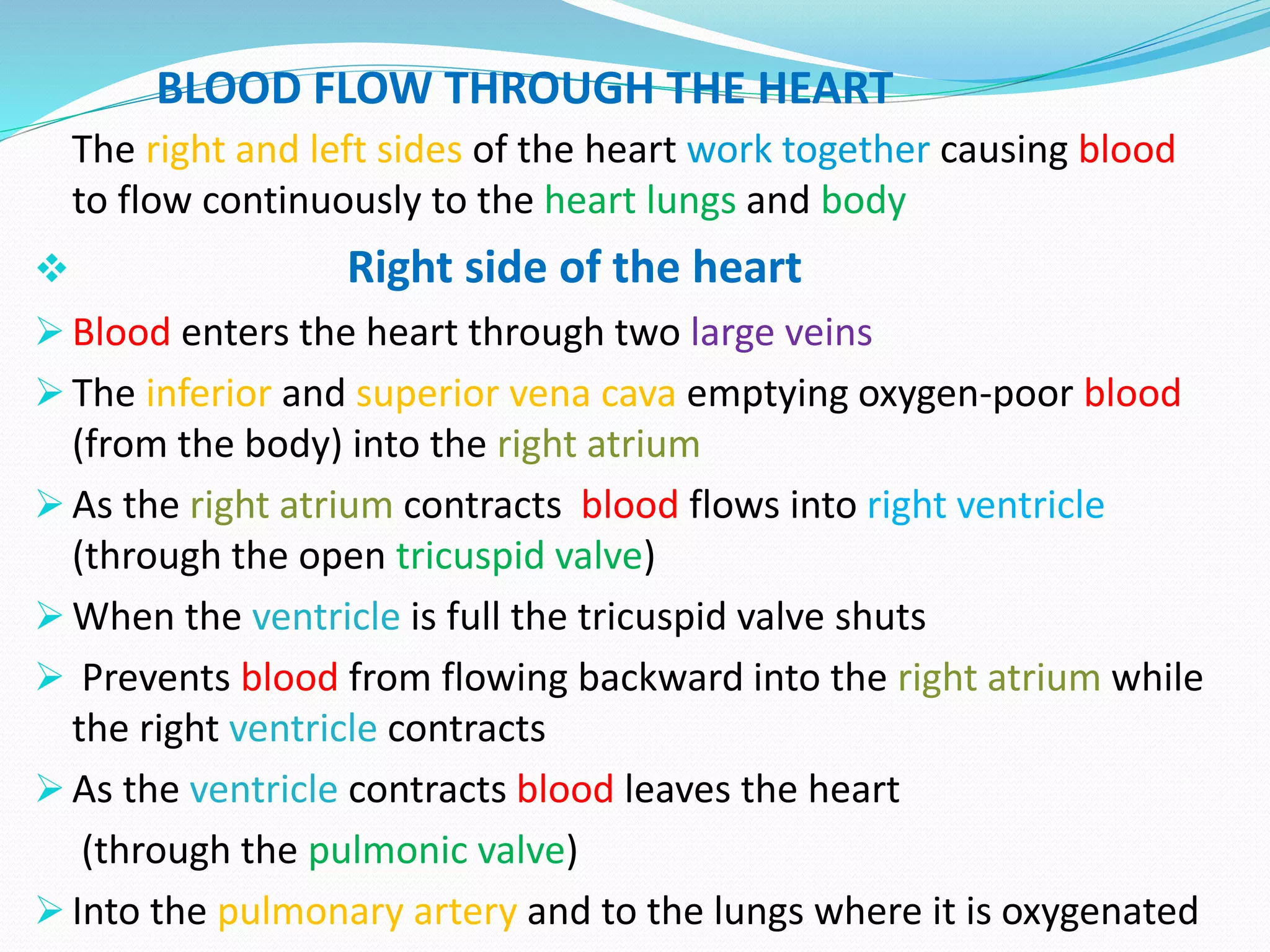 Human heart anatomy and physiology Part -1 | PPTX