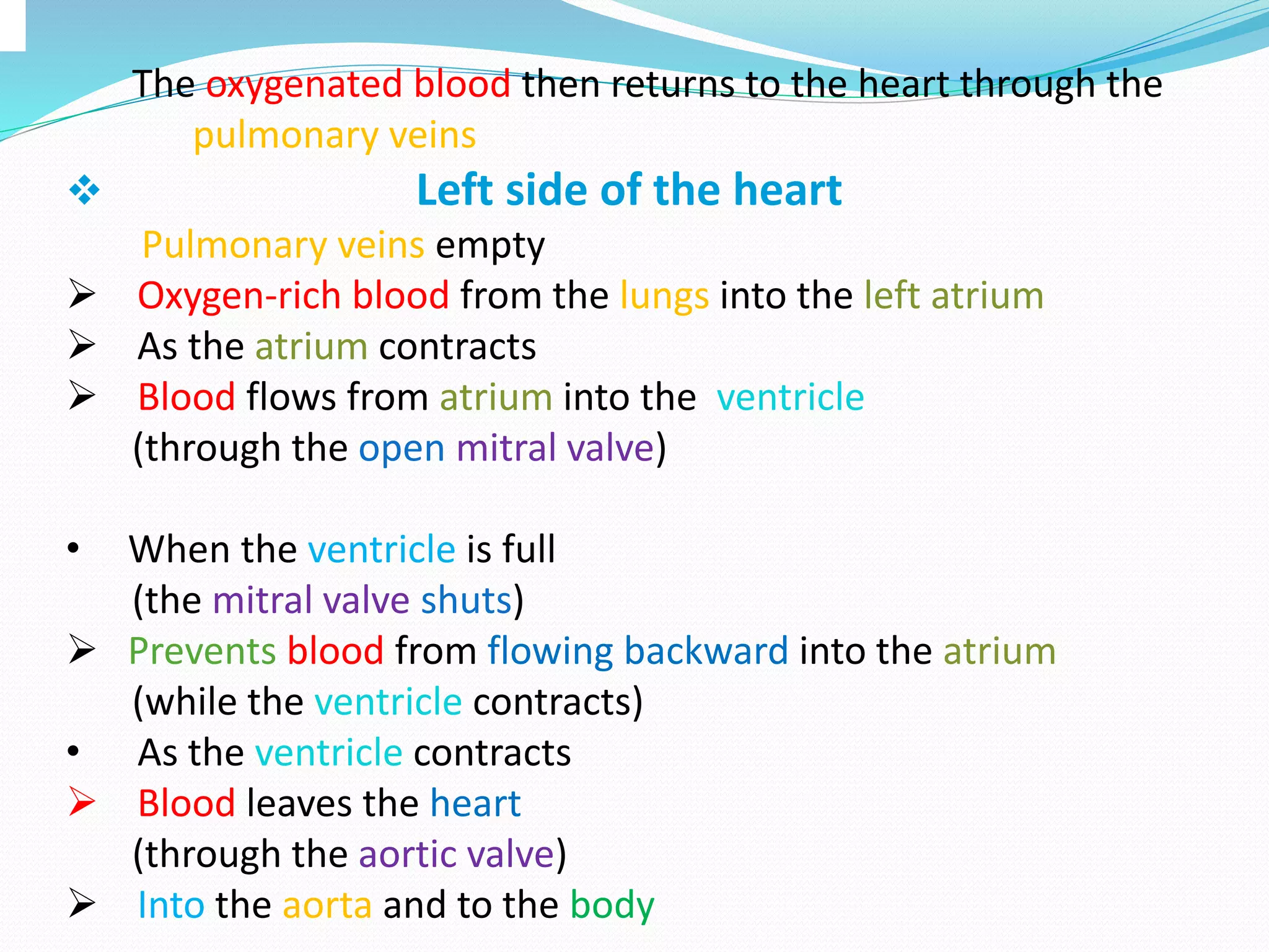 Human heart anatomy and physiology Part -1 | PPTX