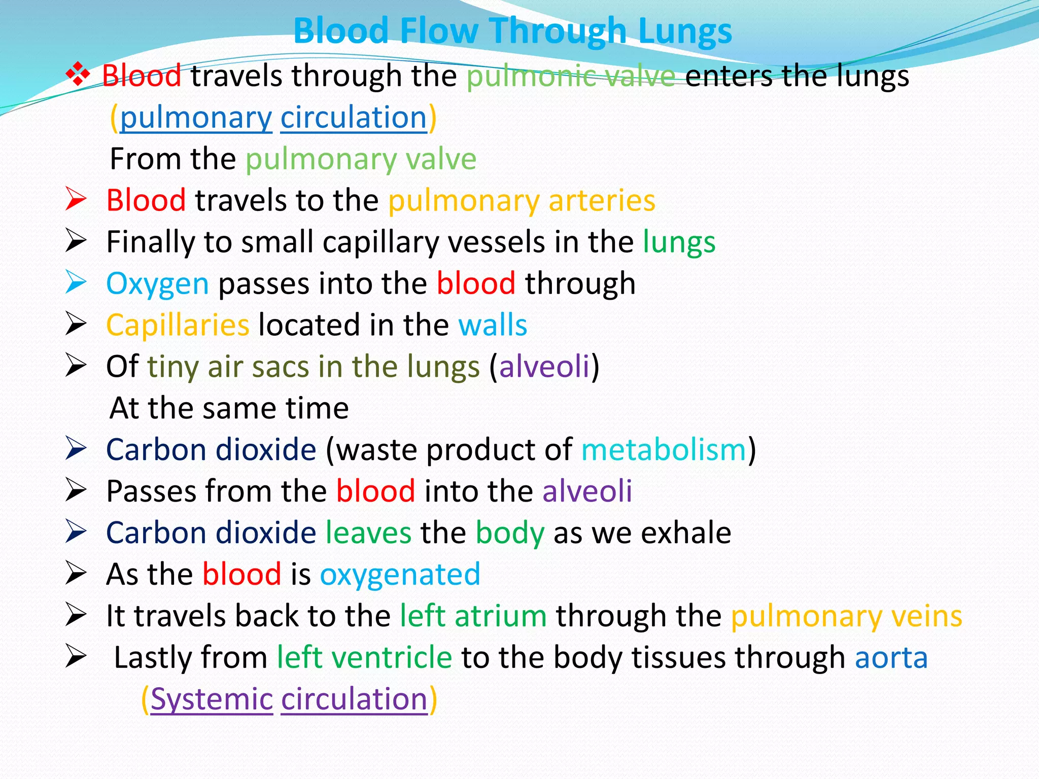 Human heart anatomy and physiology Part -1 | PPTX