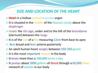Human heart anatomy and physiology Part -1 | PPT