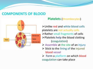 Human heart anatomy and physiology Part -1 | PPT