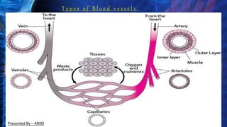 Human heart by arko (india) | PPTX