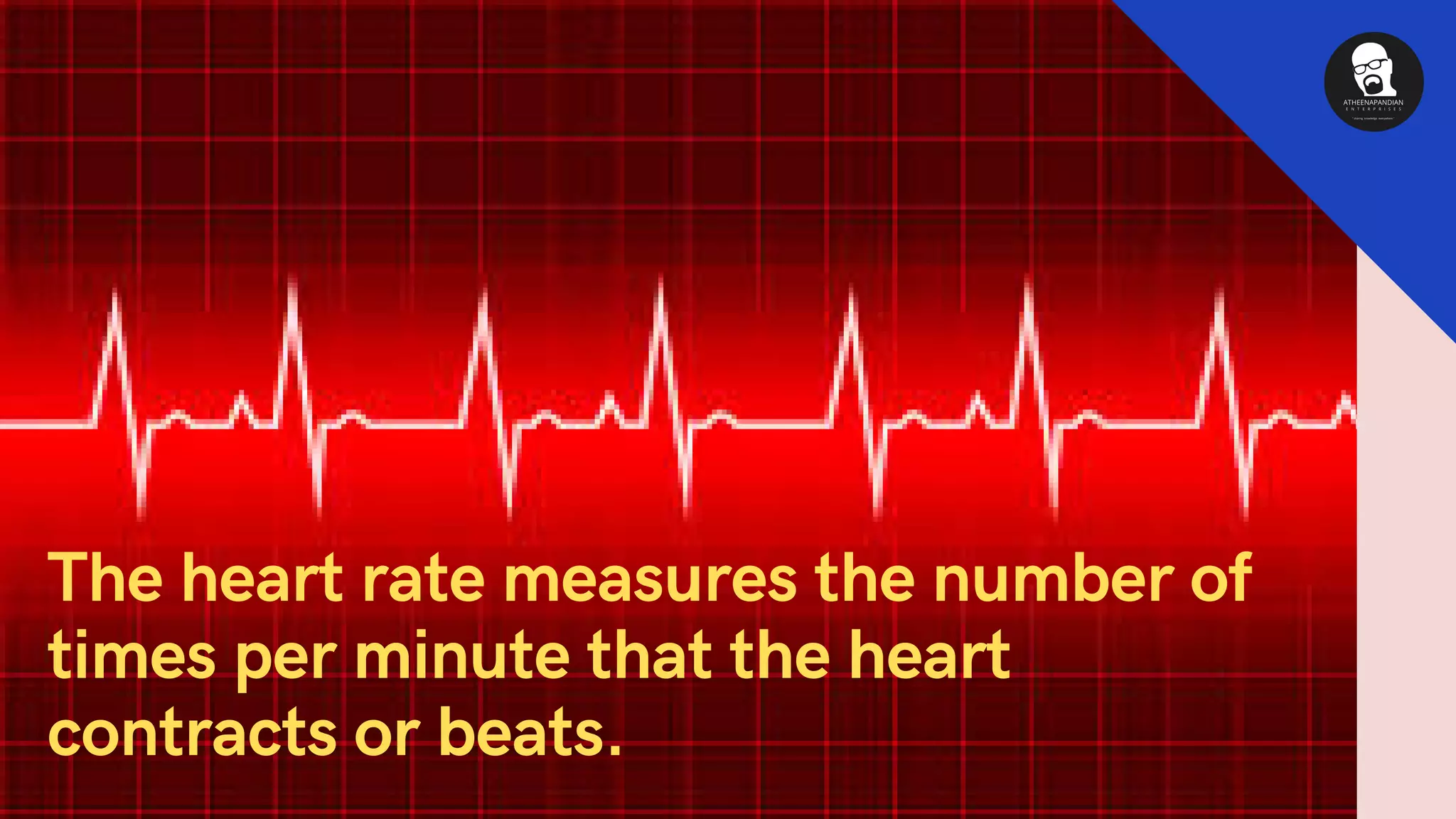 Human heart rate basics | PDF
