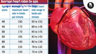 Human heart rate basics | PDF