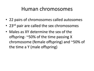 Human heredity | PPTX