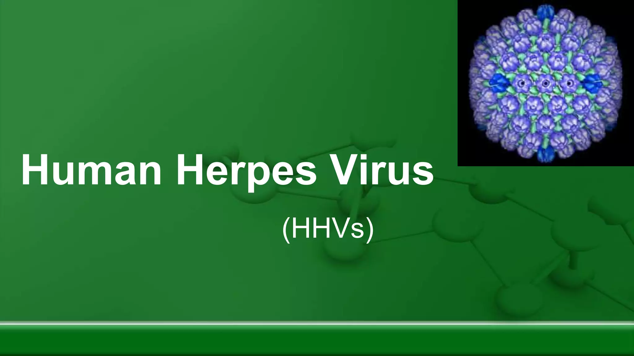 Human Herpes Virus.pptx
