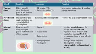 Human Hormones and its influences in human | PPTX