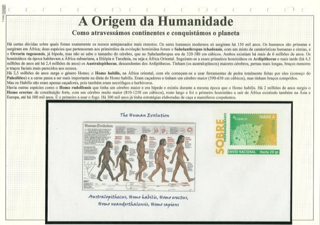 A Origem Da Humanidade